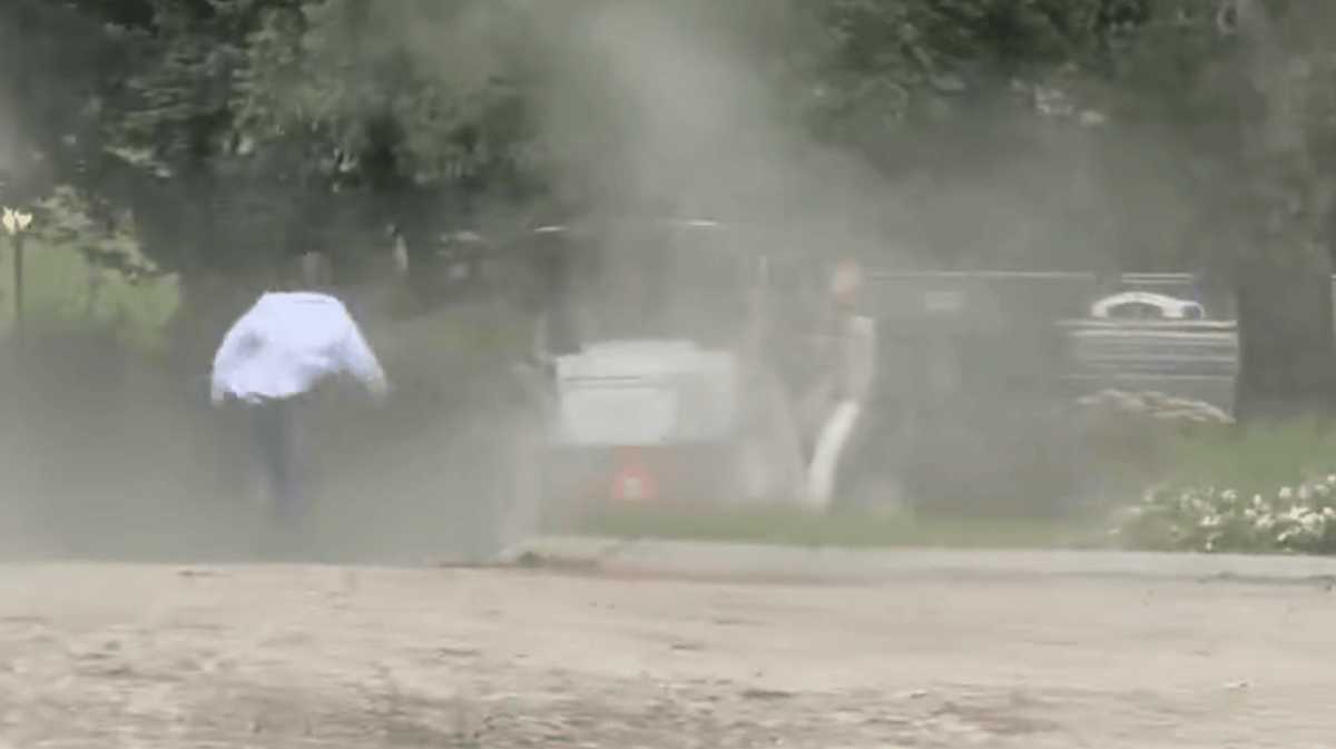 Father gives tragic statement as teenage tourist dies after horse-drawn ...