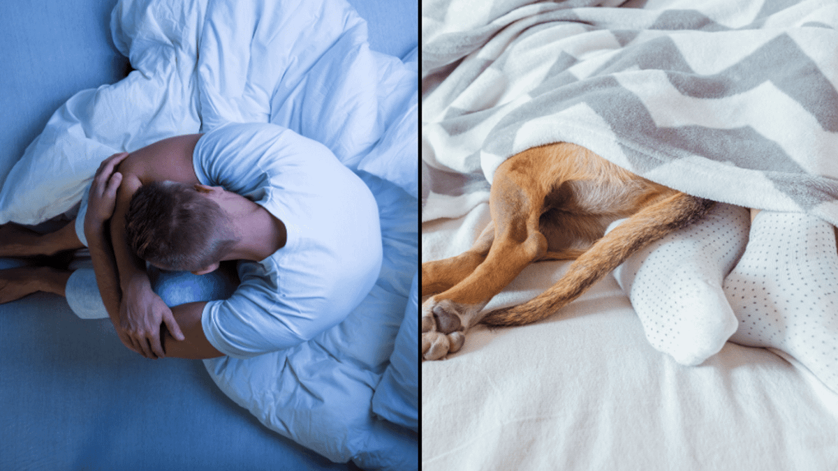 New ‘bed rotting’ trend is taking over young people