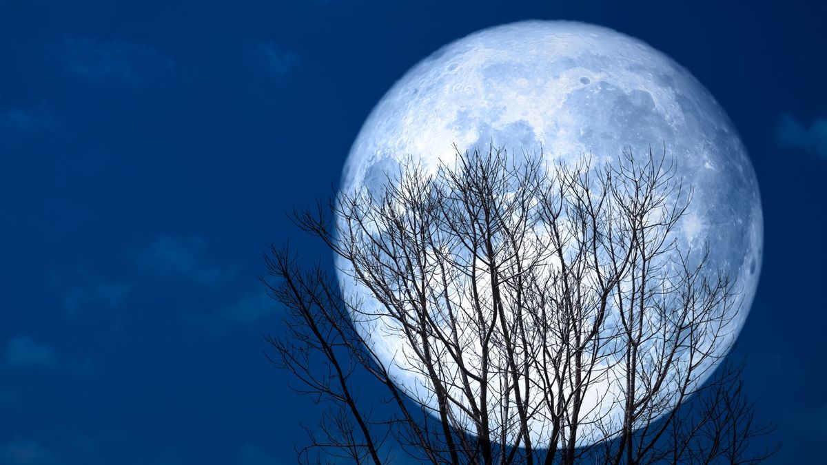 Where and when to see the full Cold Supermoon expected to light up the ...