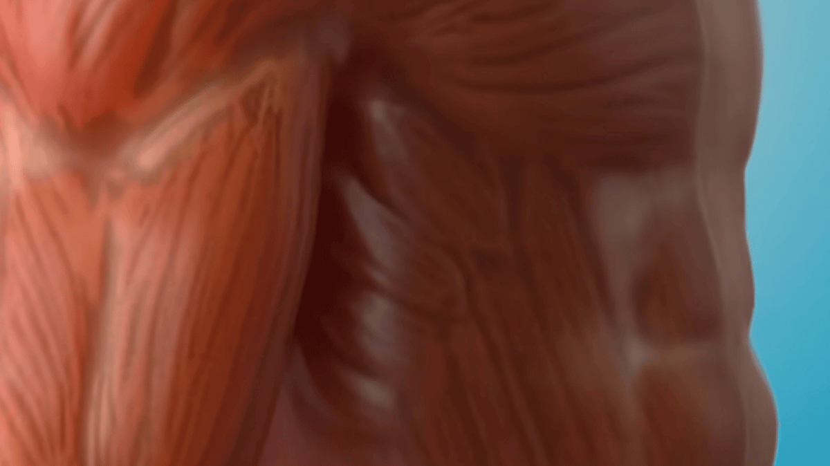 Jaw-dropping visualisation of fat inside your body is the 'awakening ...