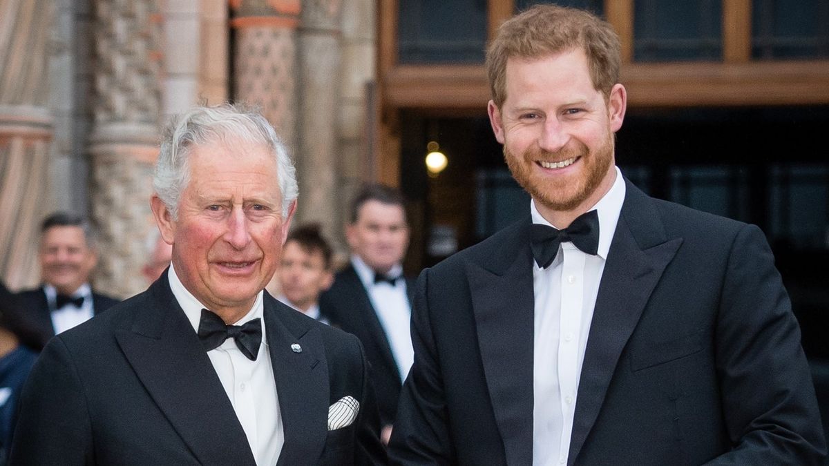 Prince Harry makes damning rare statement following meeting with King ...