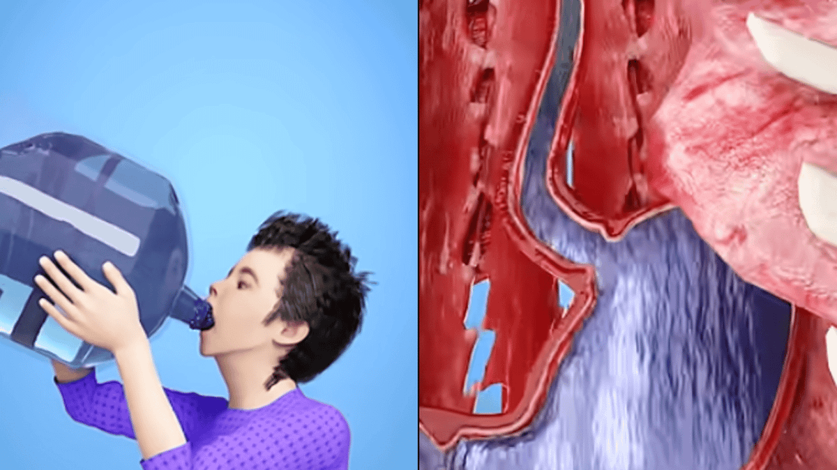 Terrifying simulation shows what would happen to your body if you died ...