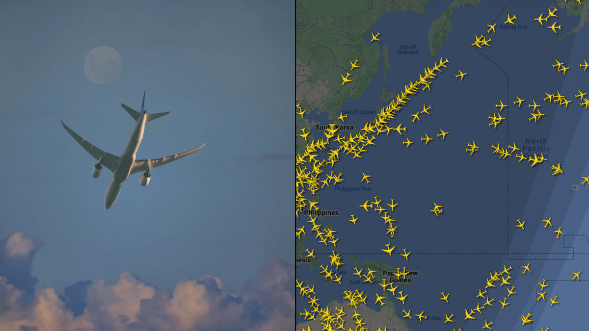 Passengers 'fly back in time' as flight takes off in 2025 and lands in 2024