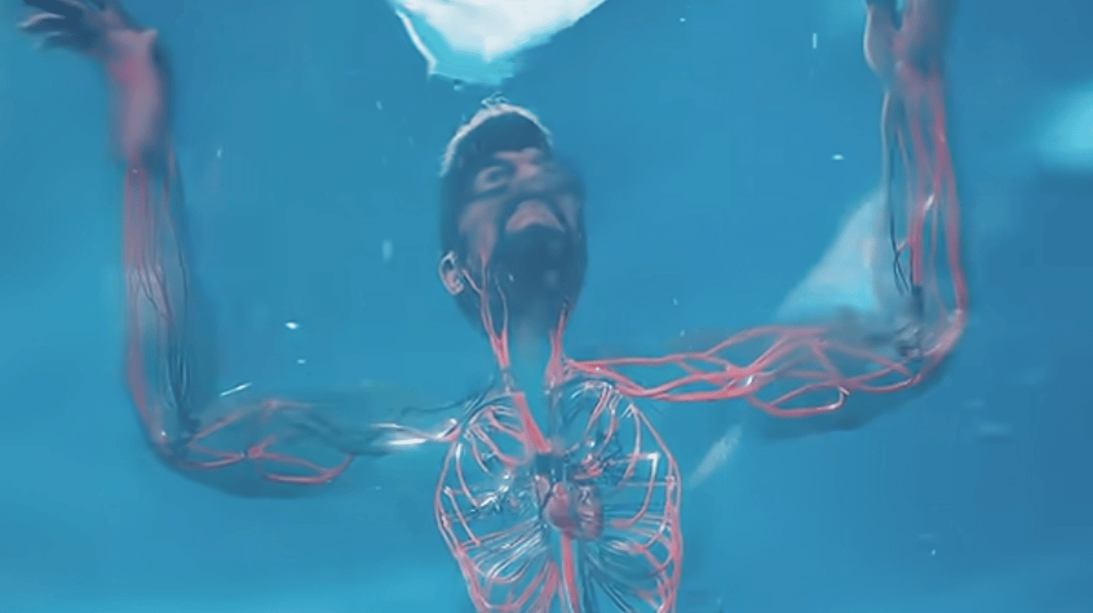 Terrifying simulation shows what happens to the human body when you ...