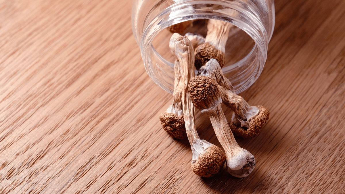 Study finds psychedelic drugs and near-death experiences can reduce the ...
