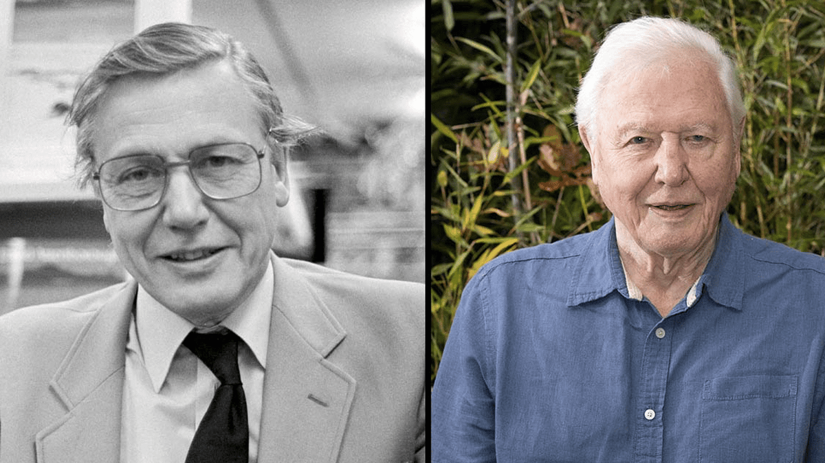 How David Attenborough Once Helped Solve A Murder