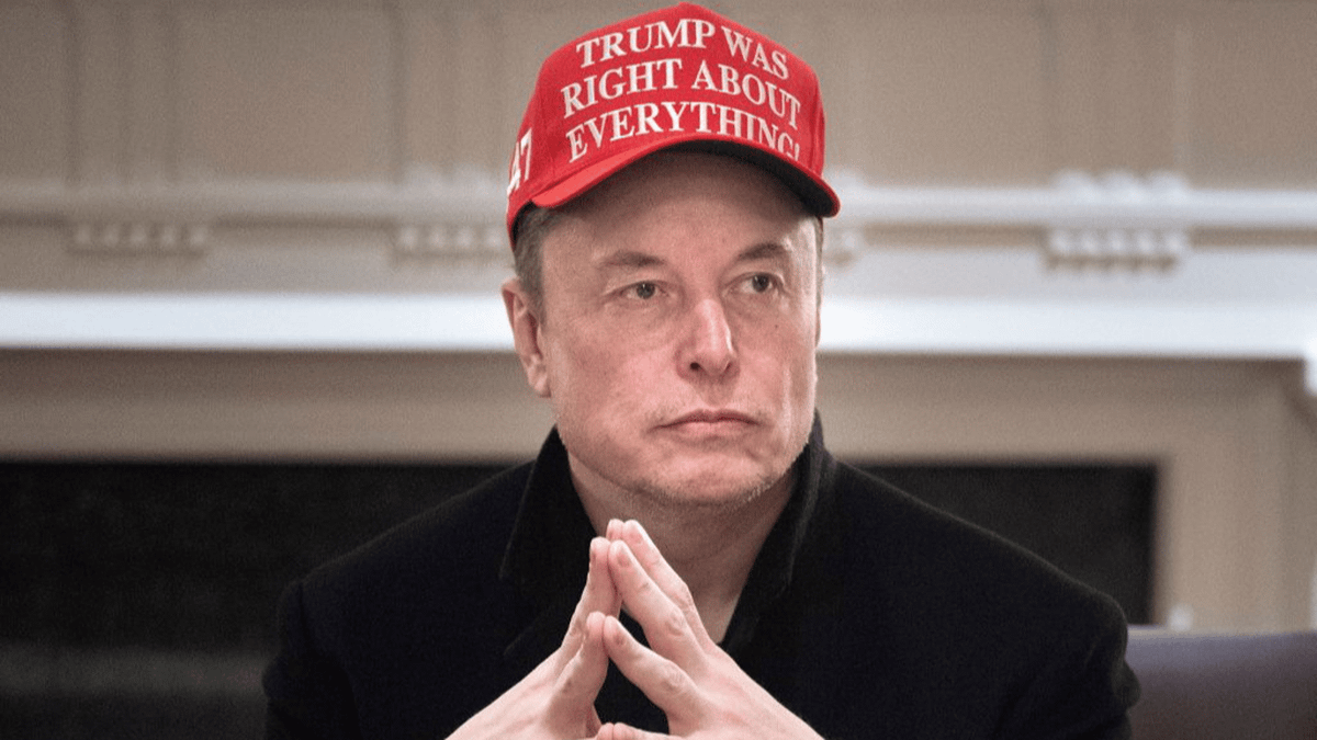 Elon Musk announces plans to bring back Vine with one major difference