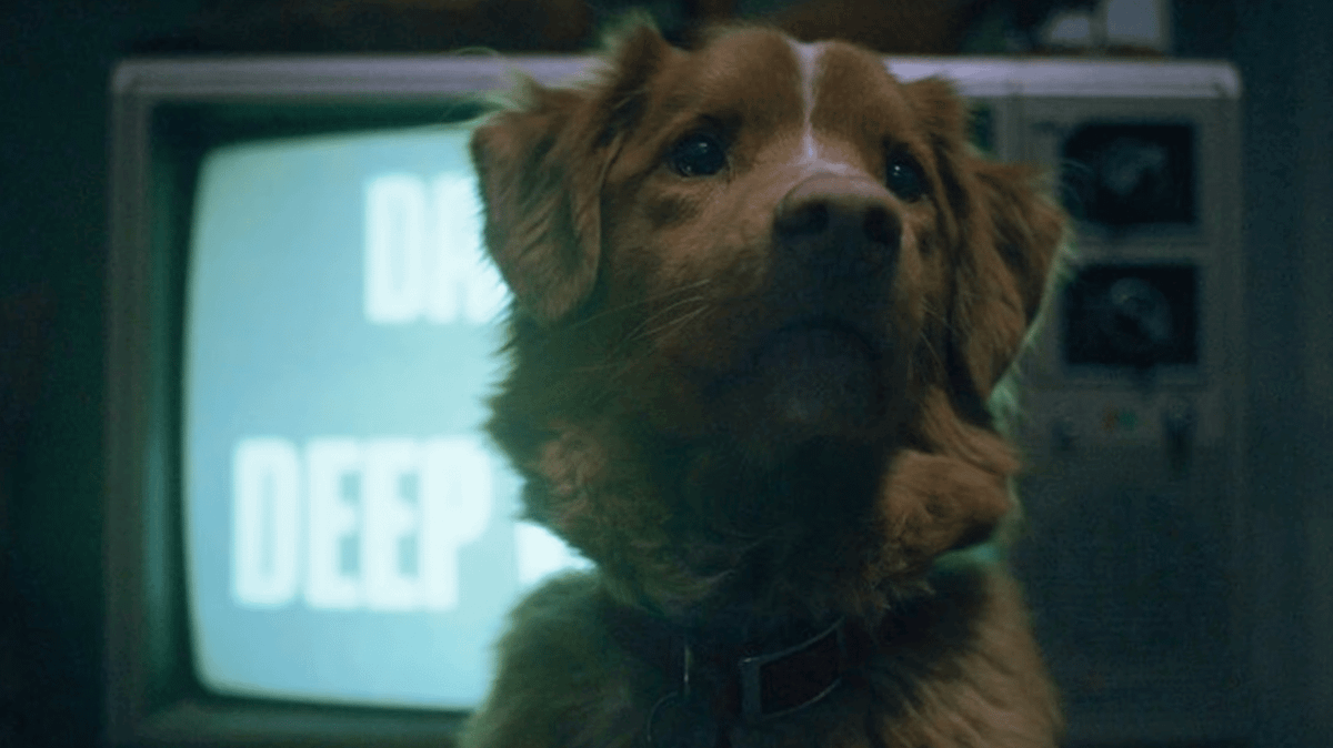 Horror fans terrified as 'genuinely unnerving' trailer drops for film ...