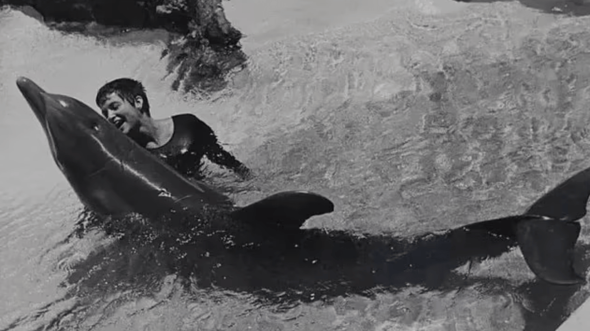 NASA-funded experiment went horrifically wrong after dolphin ended up ...