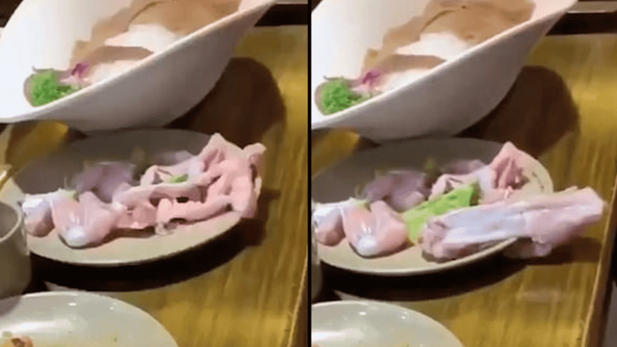 Horrifying moment raw ‘zombie’ meat ‘crawls off’ restaurant customer’s ...