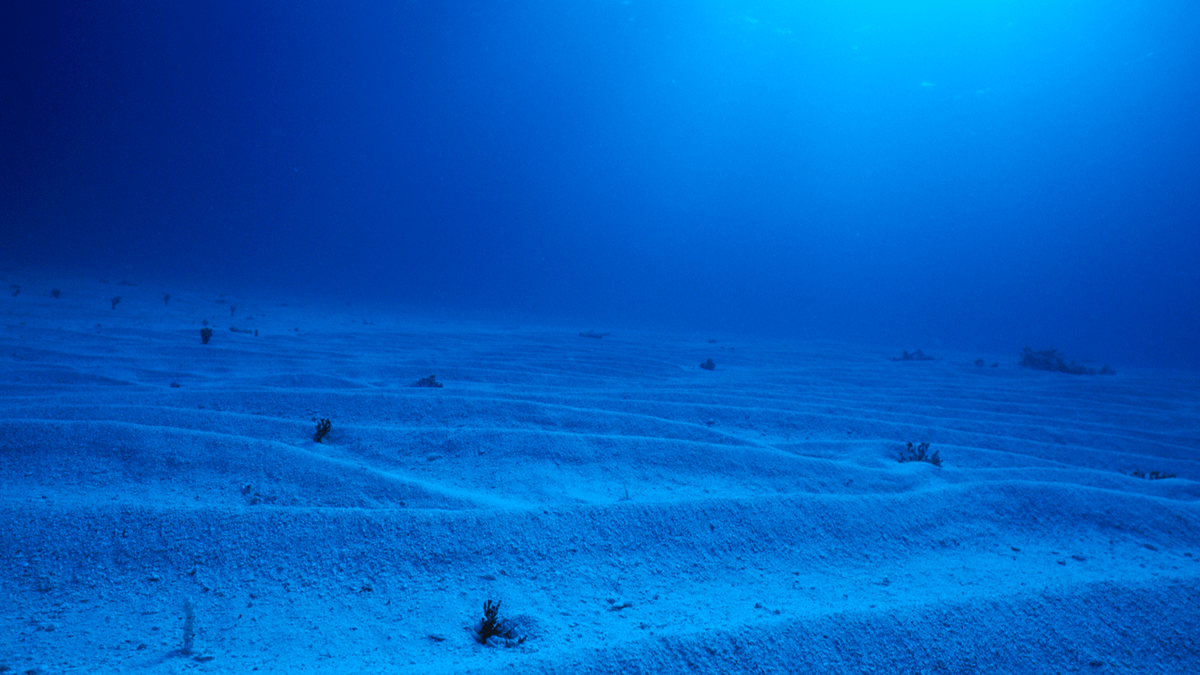 Scientist made worrying discovery when reaching the deepest point in ...