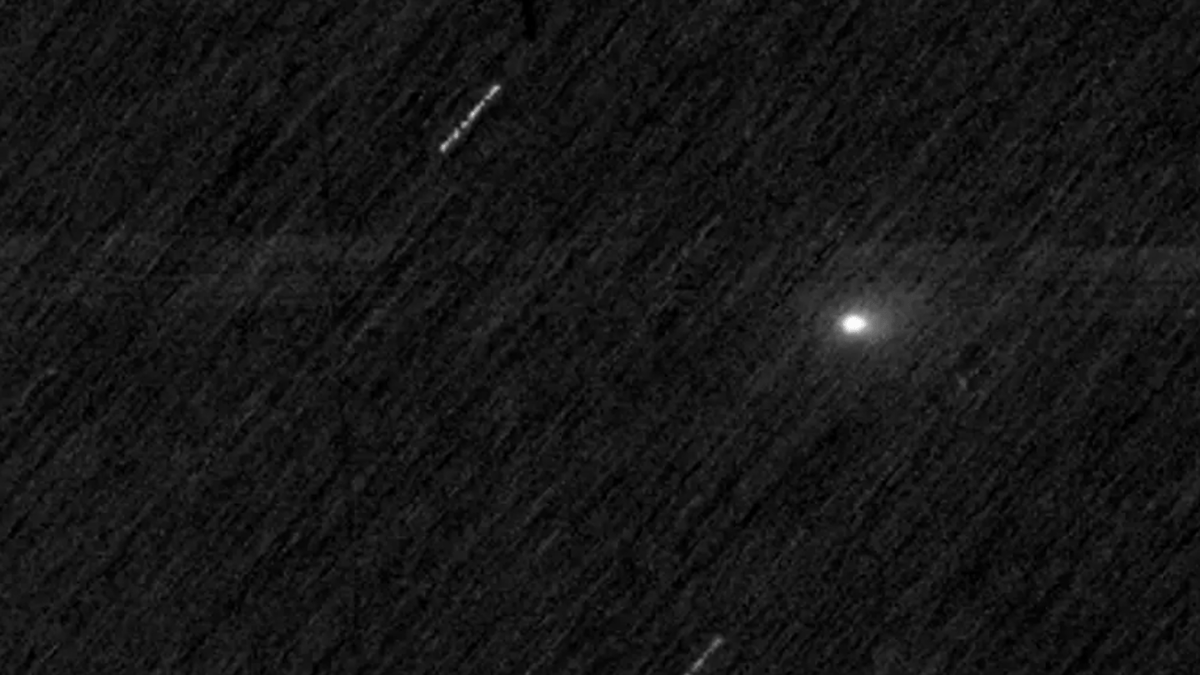 Harvard scientist says mystery object hurtling towards Earth behaves ...