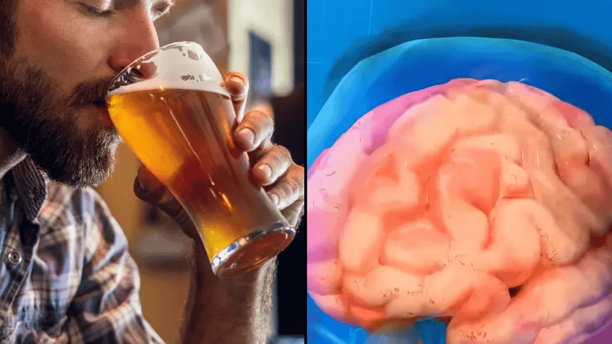 Sobering simulation shows everything that happens to your body when you ...
