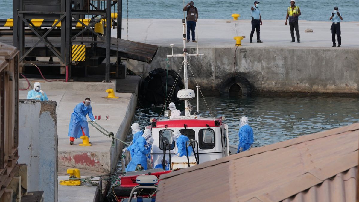 UK Government issues statement as two Brits self-isolating in UK after ...