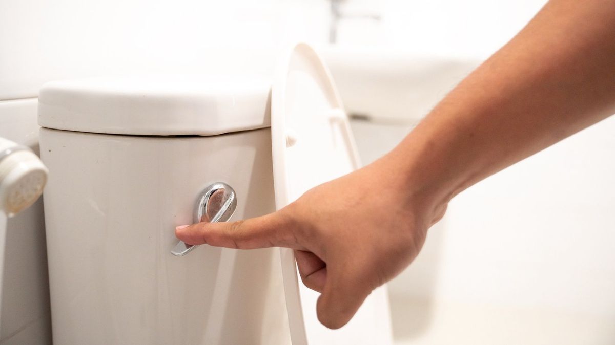 Doctor warns people against going to toilet before they go out 'just in ...