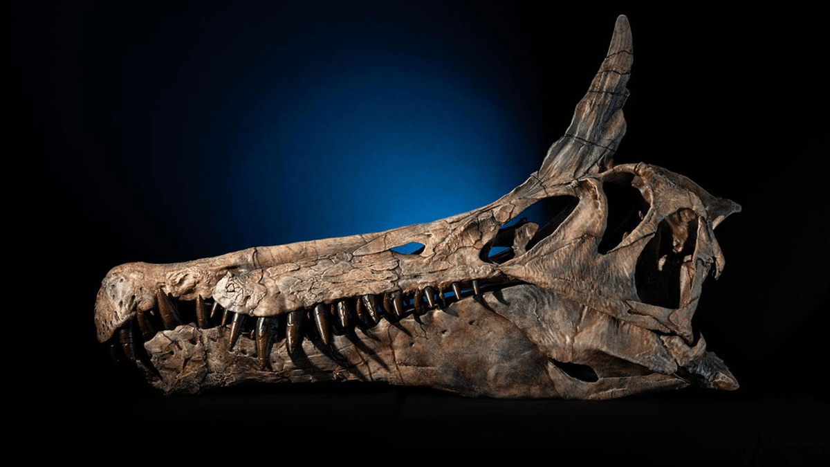Scientists shocked to discover what mysterious creature from 95 million ...