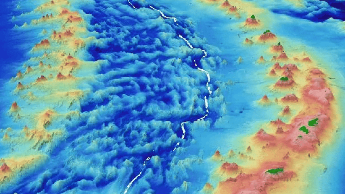 Scientists have made a never-before-seen discovery at the deepest point ...