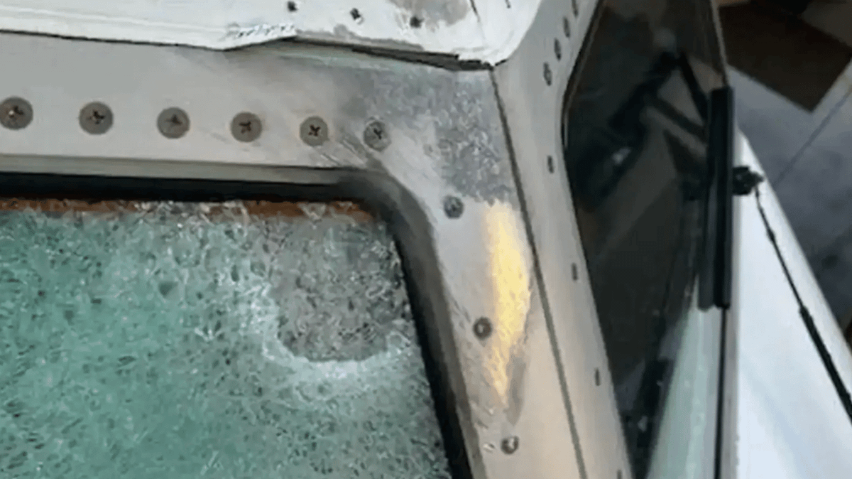 Pilot left covered in blood after object smashes into plane windscreen ...