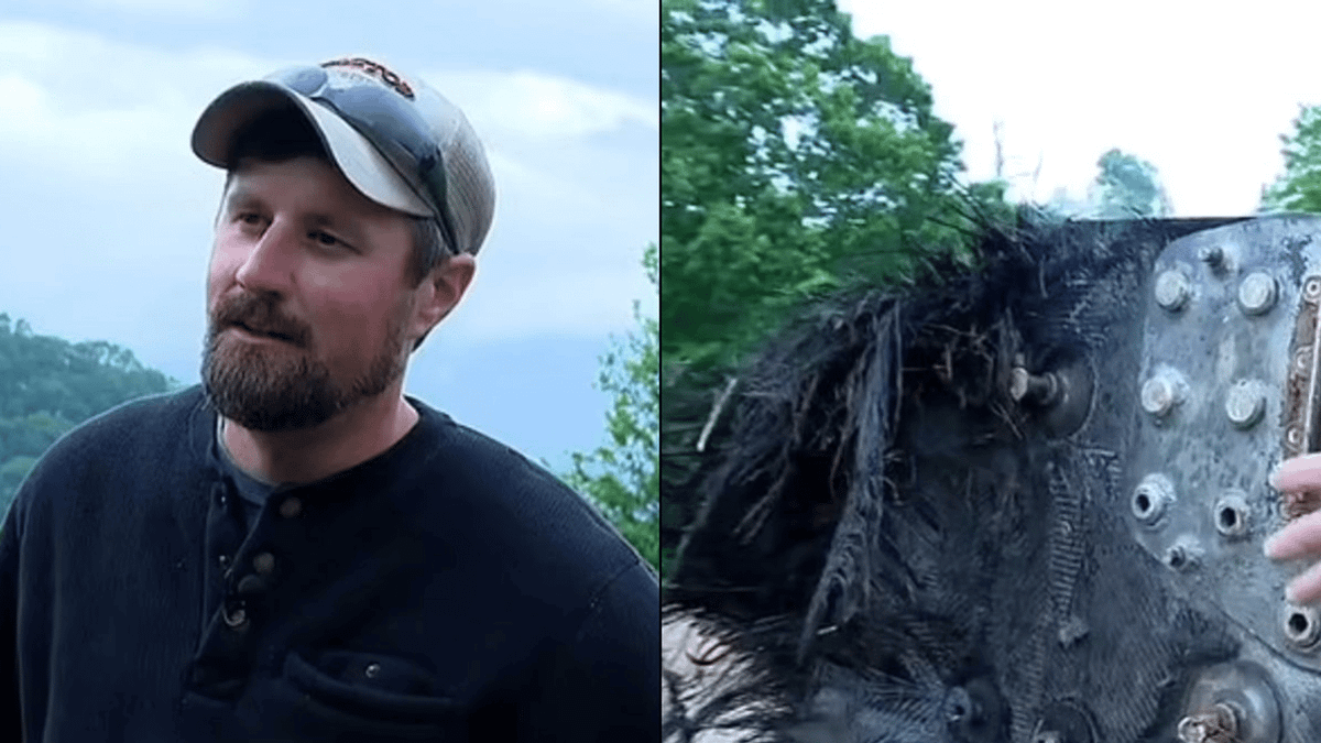Man adamant that he's stumbled upon a UFO covered in mysterious fur
