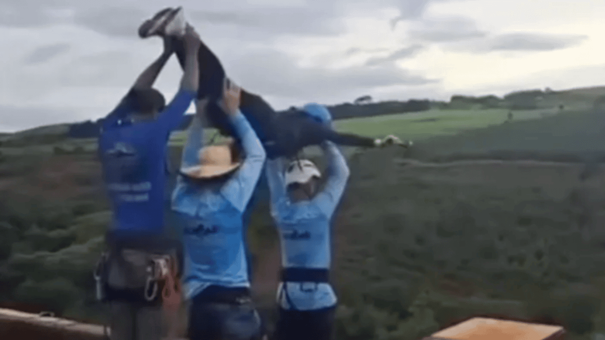 Lawyer gives update on suspects as woman plunges to her death after ...
