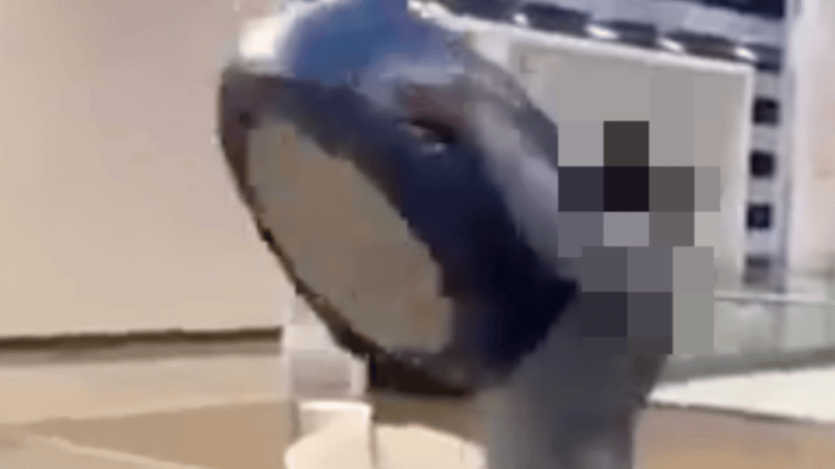 Two teenagers arrested after large chair is thrown from third floor of ...
