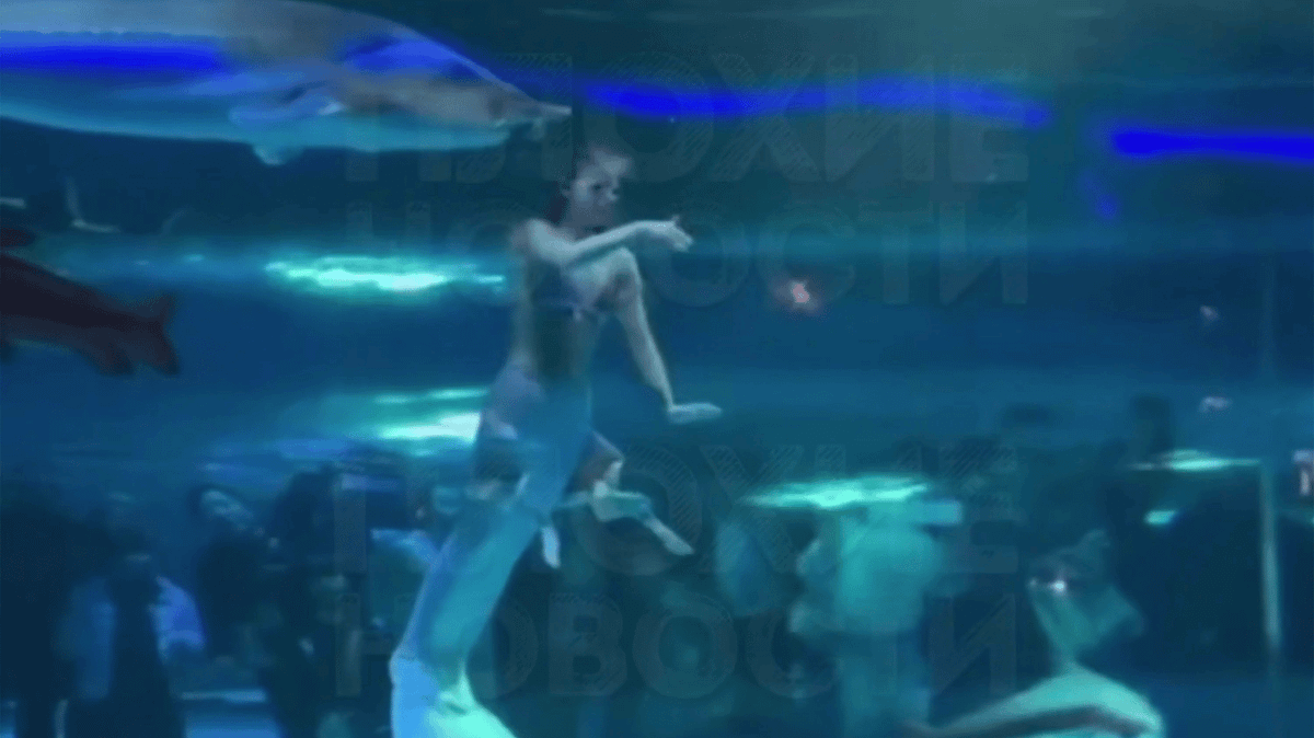 Mermaid performer who had giant fish bite her head in front of ...