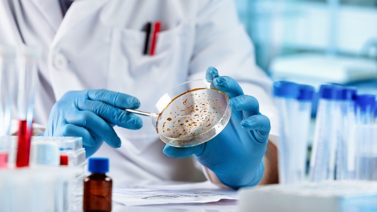 Symptoms of deadly fungus sweeping across Europe as UK cases surge amid ...