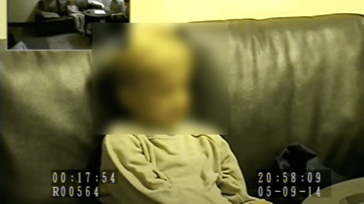 True story behind harrowing Netflix doc that saw children accuse dad of ...