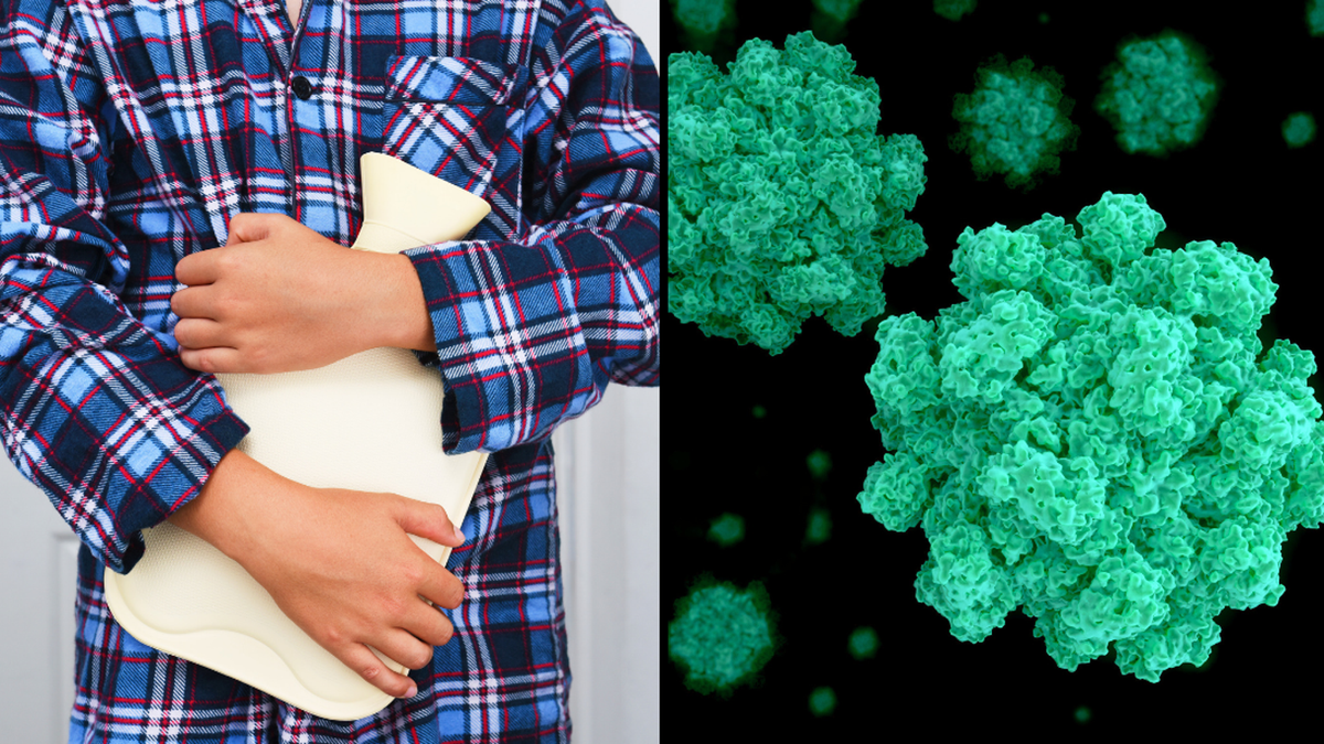 Doctor explains why brutal illness is sweeping across the UK as cases ...