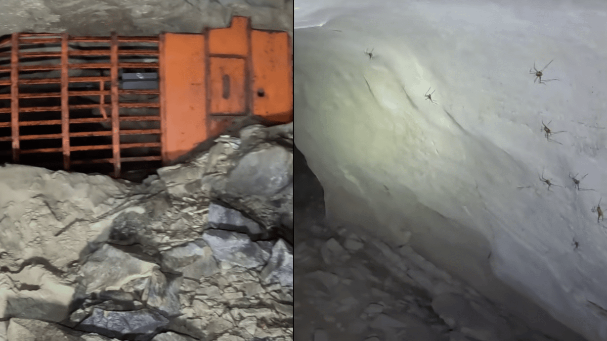 Viewers say their 'soul left their body' after spotting something in ...