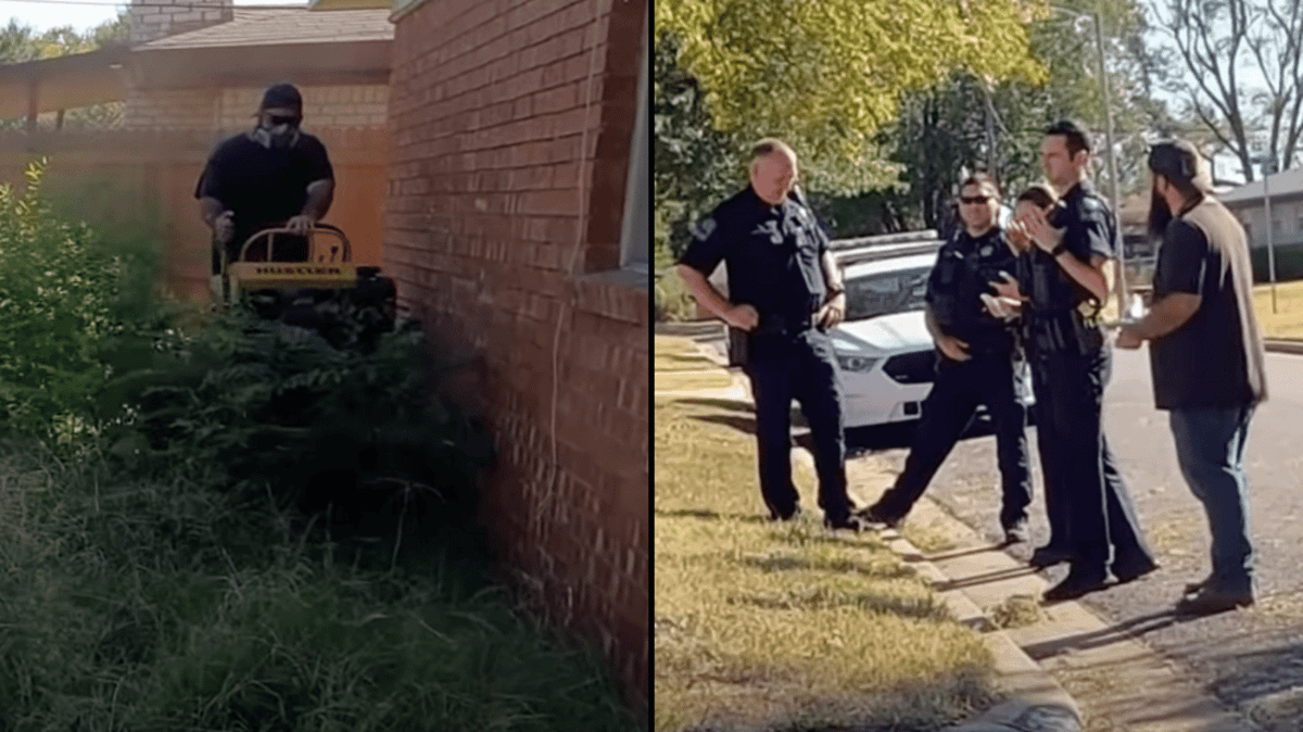 Man Who Cuts Overgrown Gardens For Free Accidentally Stumbles Across ...