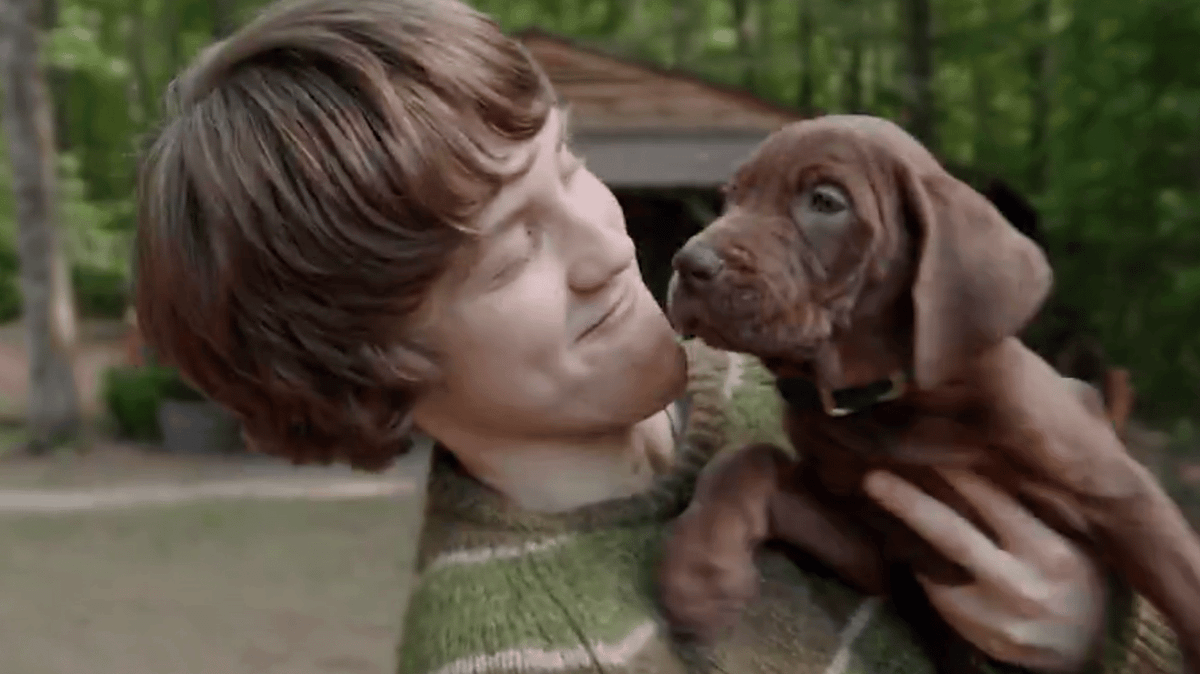 Netflix's Scooby-Doo live action prequel could be about to 'ruin ...
