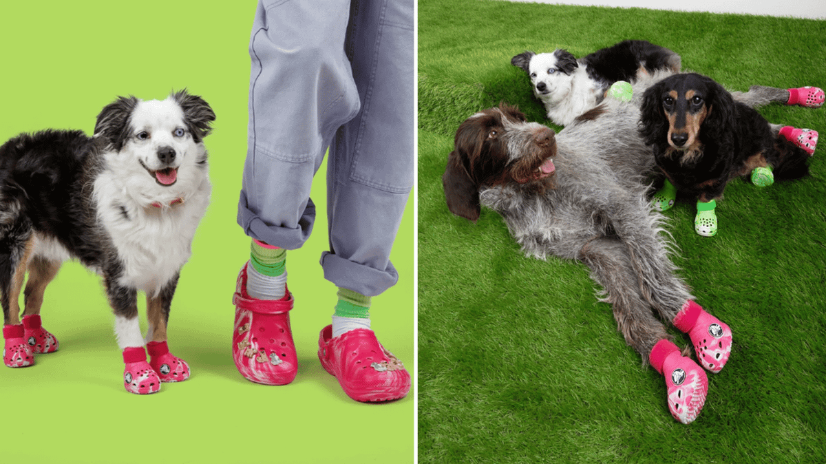 You can now buy matching Crocs for your dog