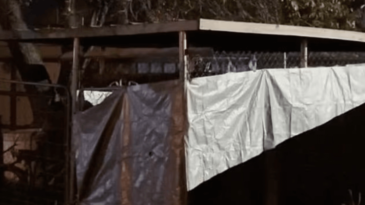 Woman, 22, found locked inside dog kennel after neighbour heard ...
