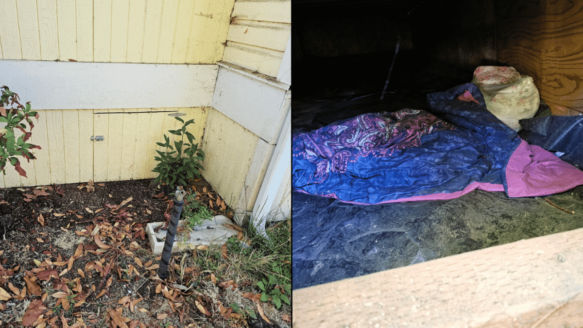 Woman discovers person has been living underneath her house and comes ...
