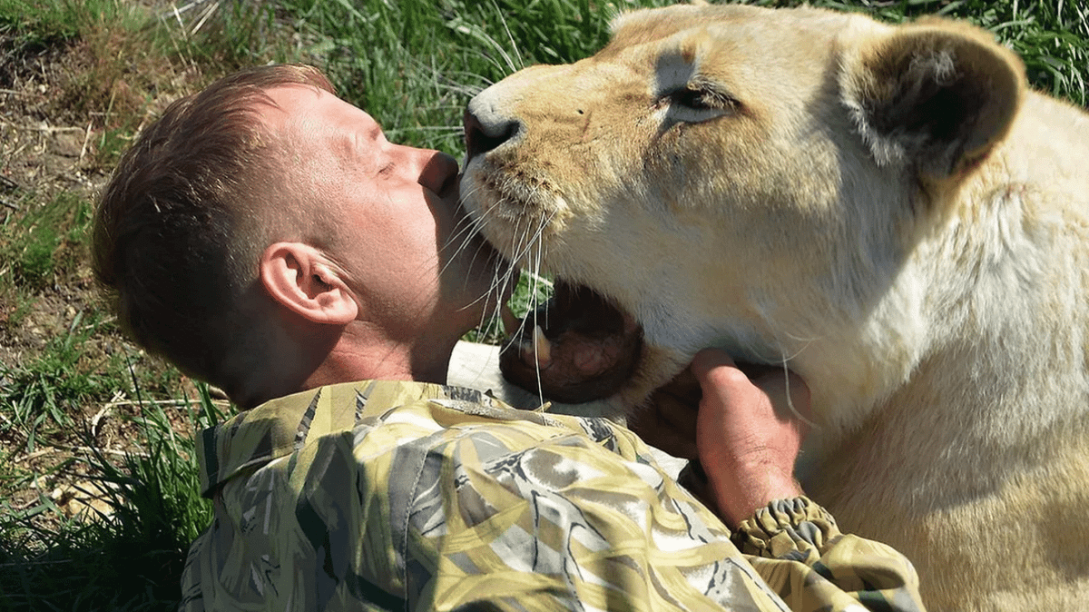 'Lion whisperer' left fighting for his life after vicious attack by ...