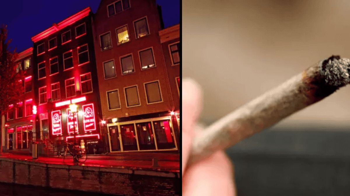 Amsterdam introduces new rules around weed, drinking and brothels as ...