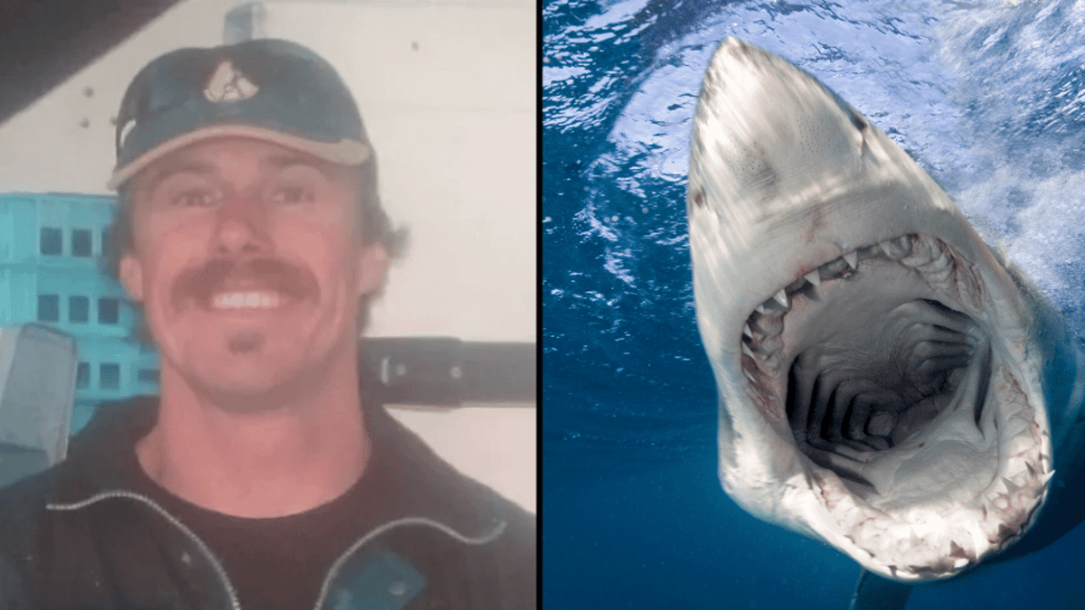 Man who was 'eaten alive' by Great White Shark recalls moment he was ...