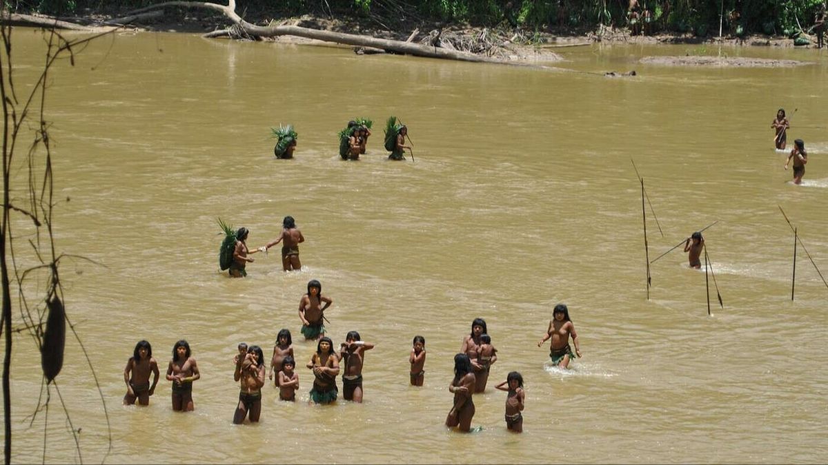Uncontacted Amazon tribe at risk of being wiped out by common cold ...