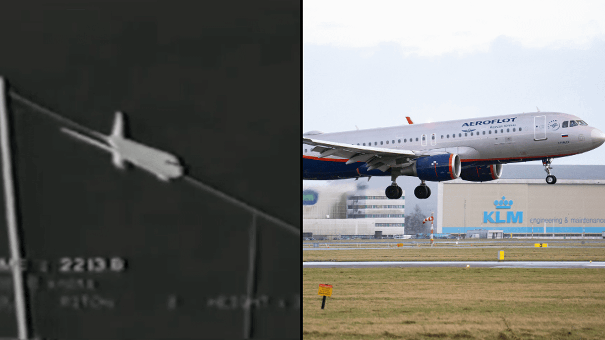 Haunting last words of pilot who let his children in cockpit to control ...