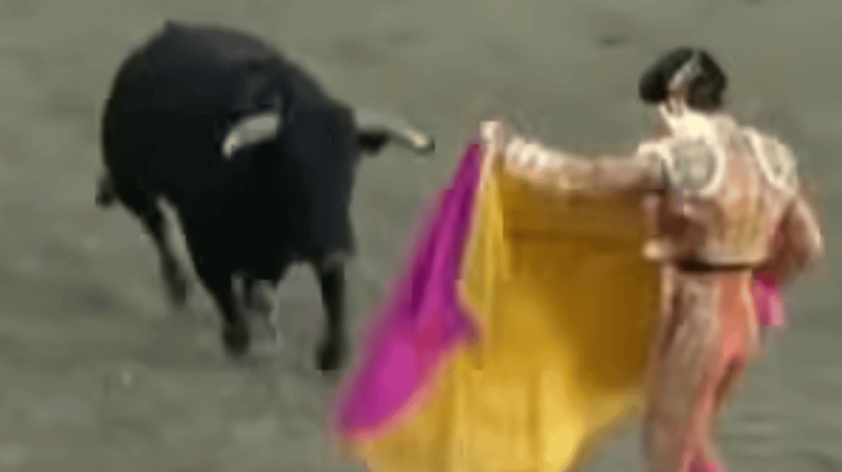 Tragic moment matador was gored to death by bull after tripping over ...