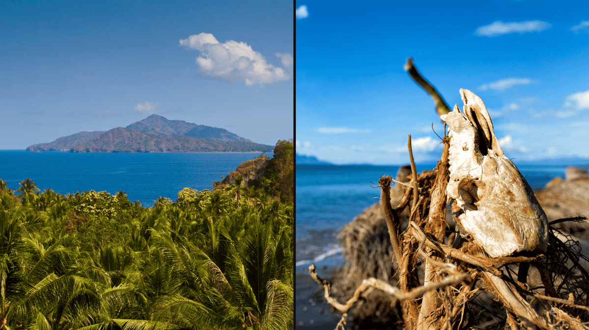 Inside remote island where ancient human species could still be alive ...