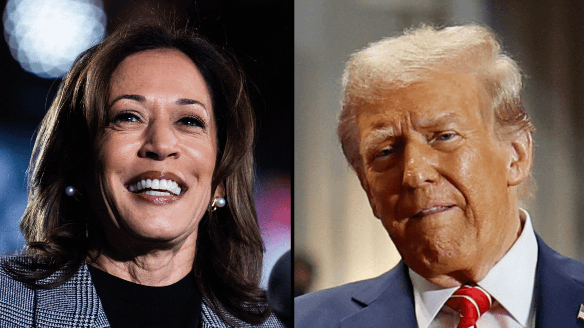 Kamala Harris and Donald Trump key election issues as millions vote in ...