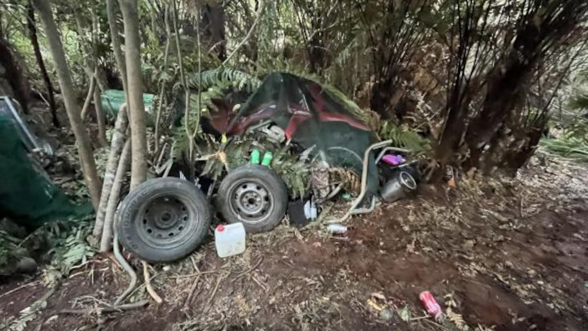 First photos show reality of how man lived in wilderness with his three ...