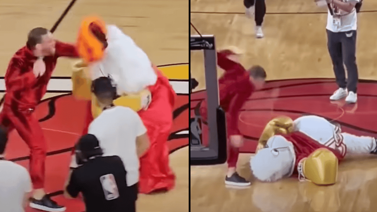 Update shared on basketball mascot after Conor McGregor punch left him ...