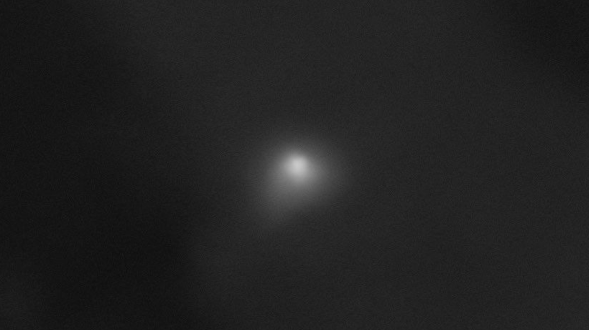 Harvard scientist who warned world about ‘potentially hostile alien ...