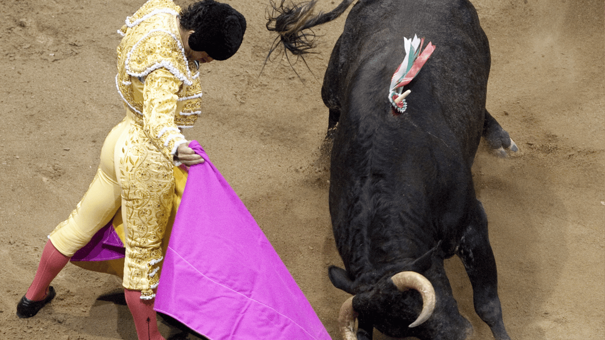 Chilling final words of matador gored to death by a bull after tripping ...