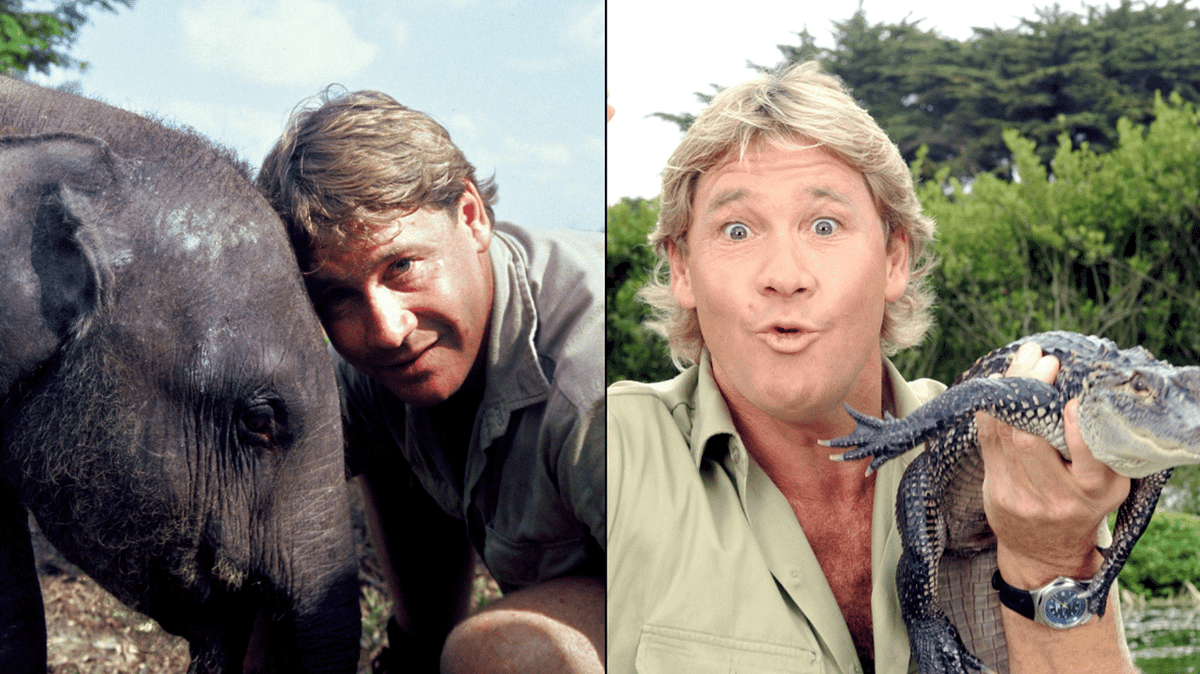 Why some people think they’ve seen Steve Irwin’s death on video despite ...