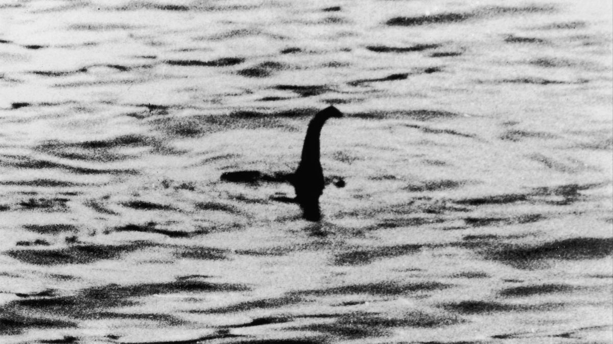 Top Loch Ness Monster hunter gives final verdict after 52 years of ...