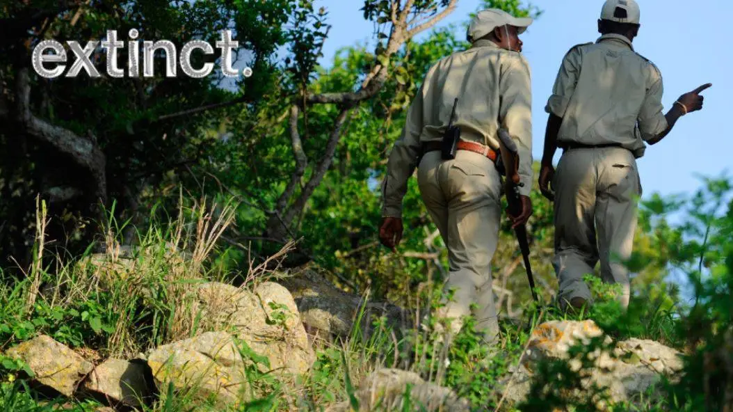 The Heroes Who Risk Their Lives To Protect Endangered African Wildlife ...